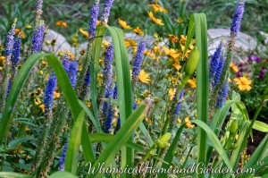 Expanding a Garden Space – Done!